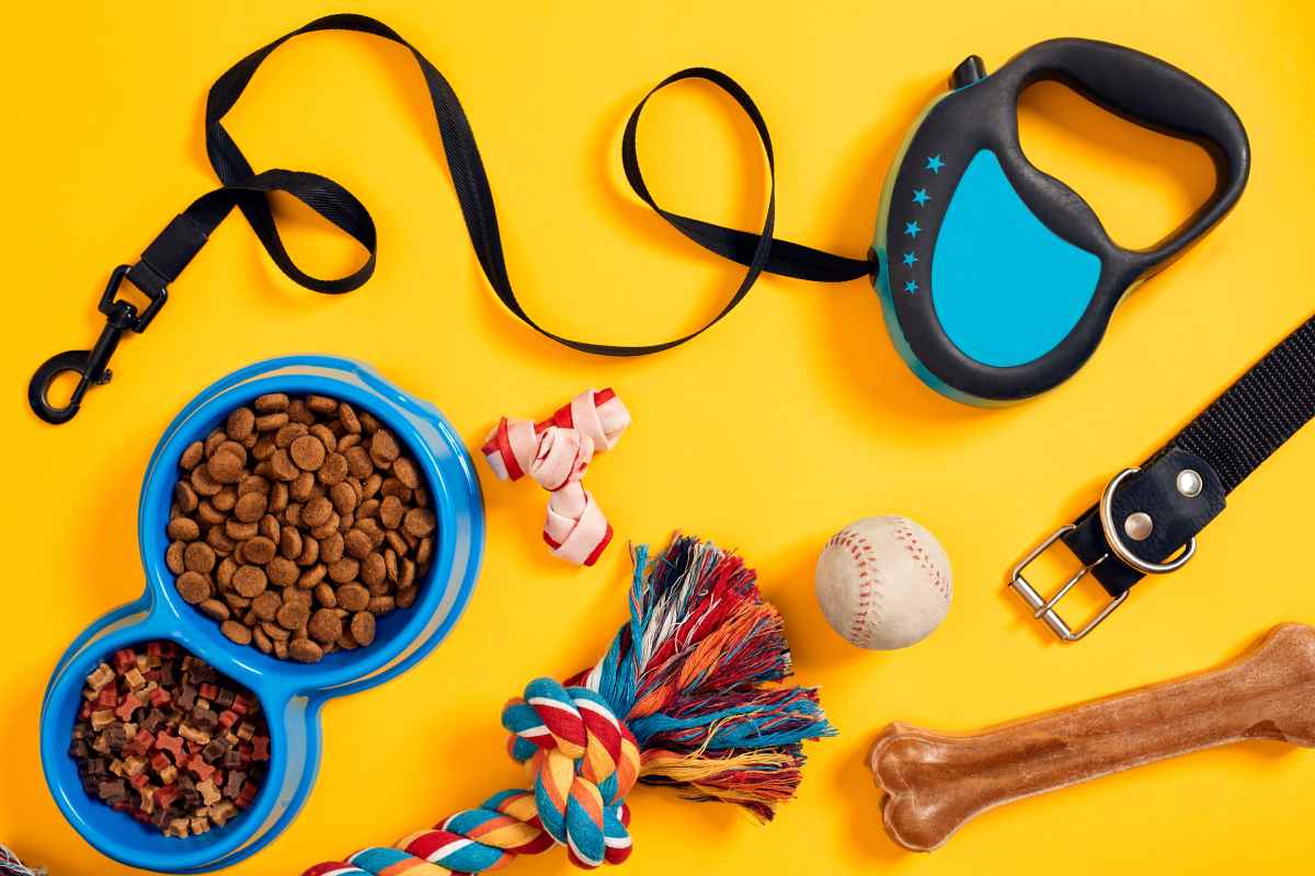 Accesorios para perros