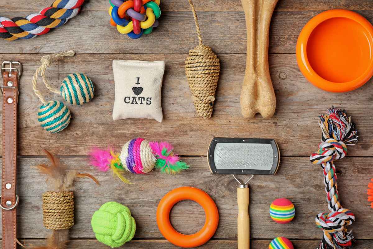 Accesorios para perros online