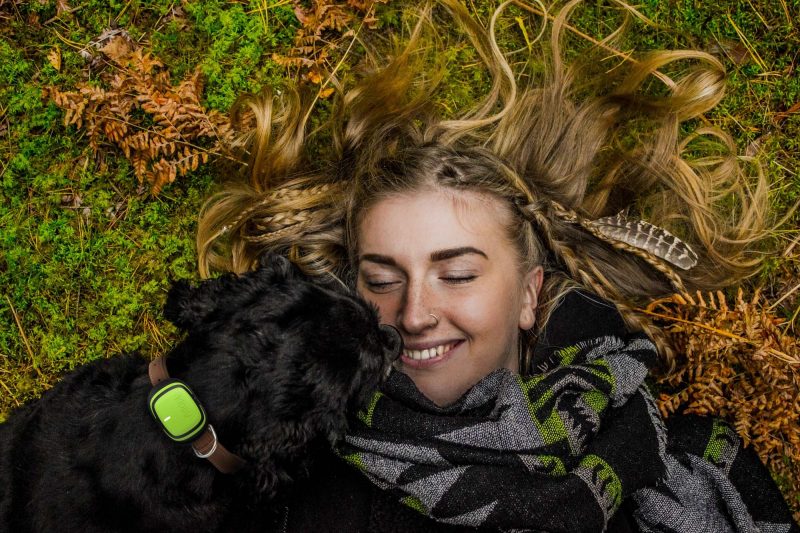 Kippy Blog - Blog on training, feeding, dog, cat, news, breeds... by Kippy