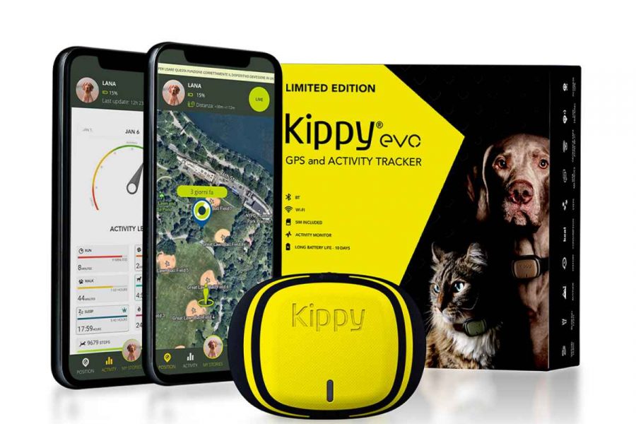 Kippy Blog - Blog on training, feeding, dog, cat, news, breeds... by Kippy