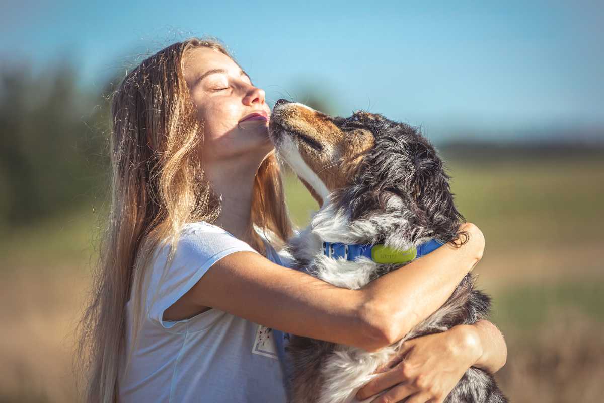 Kippy DOG the best and most advanced dog gps on the market: a complete ...